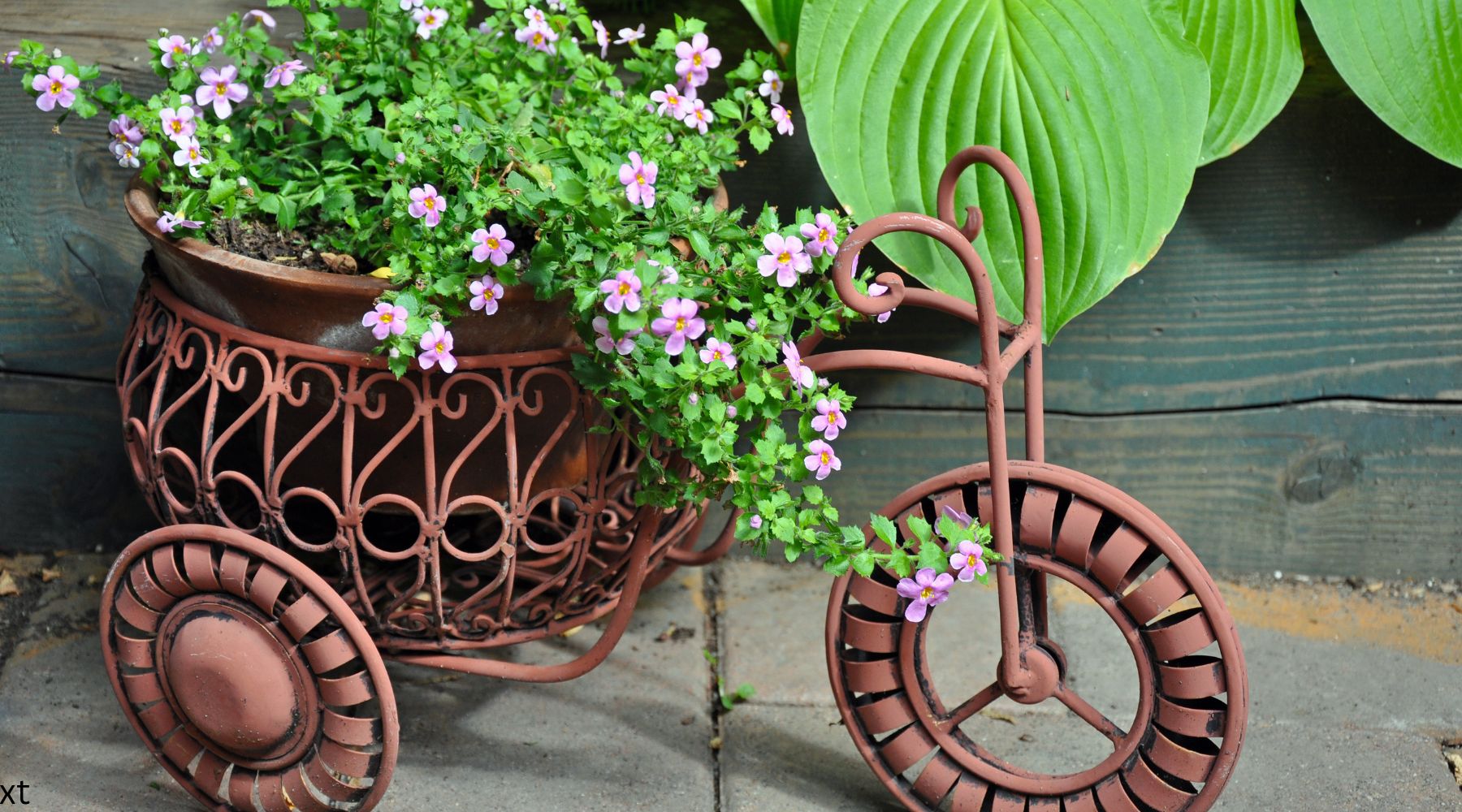 Decorative Planters & Vases – Planters Gardens