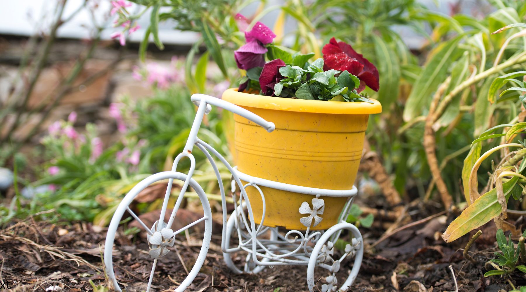 Garden Decor – Planters Raised Gardens