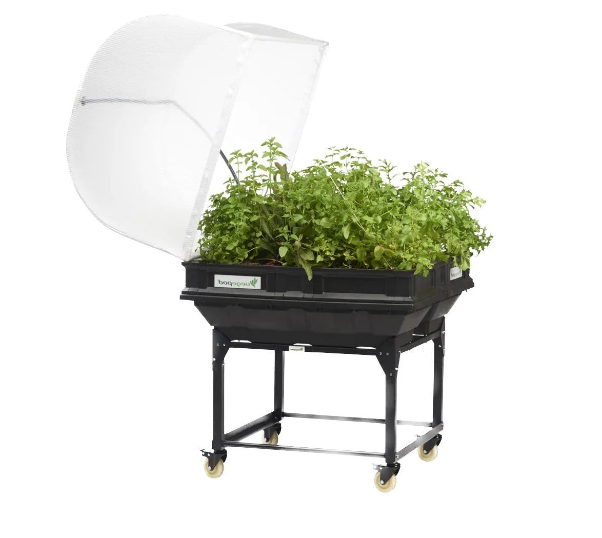 Plastic Raised Garden Beds | Planters Raised Gardens – Planters Gardens